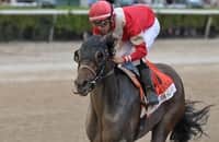 Burnham Square - Horse