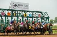 Ellis Park Entries & Results