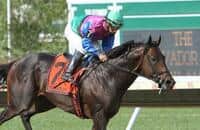 Capo Bastone - Horse