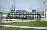 Turfway Park Entries & Results