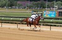 Mountaineer Entries & Results