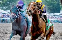 Parx Racing Entries & Results