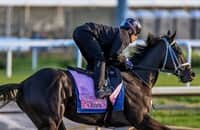 Kentucky Oaks race results, winners and past history