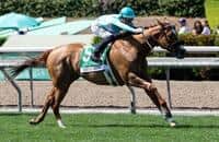 Laurel Entries And Results