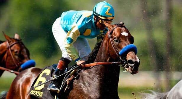 Paynter, The Unbreakable Horse