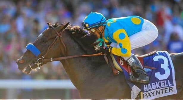 Two Weeks on Twitter: The Saga of Paynter