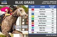 Blue Grass Stakes