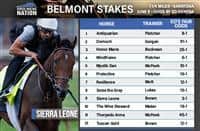 Horse Racing Nation – The fan-powered horse racing community