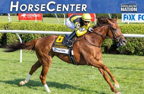 HorseCenter: Top picks for weekend stakes at Aqueduct