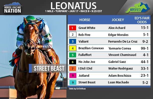 Leonatus fair odds: Other Cox intrigues in competitive prep