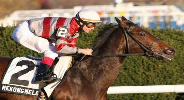 Mekong Melody Impressive in Long Island