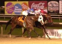 Jeremy Beasley - Jockey