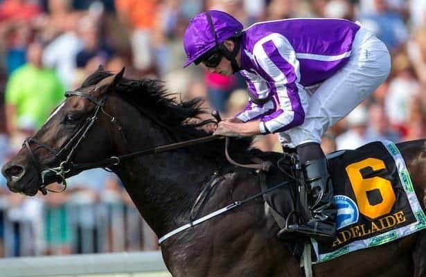 Adelaide Strolled Over the Secretariat Field