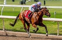 Cherie DeVaux - Trainer