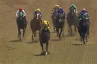 Wesley Ward - Trainer