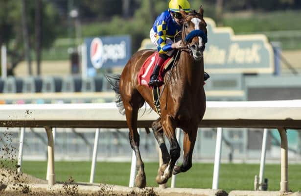 Expert Picks: Haskell Stakes 2020 predictions, longshots