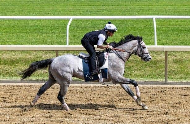 Sunday works: Ballerina d'Oro leads graded winners on tab