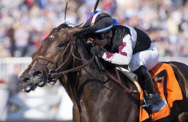 Barry Lee returns to the 3-year-old ranks in Saratoga's Amsterdam