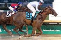 Cherie DeVaux - Trainer