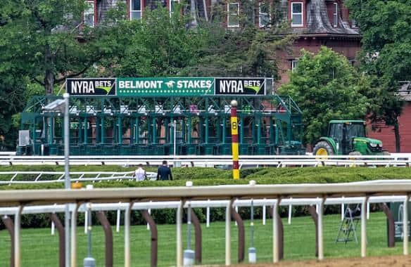 Report: O'Neill's Vitruvian Man will run in Belmont Stakes