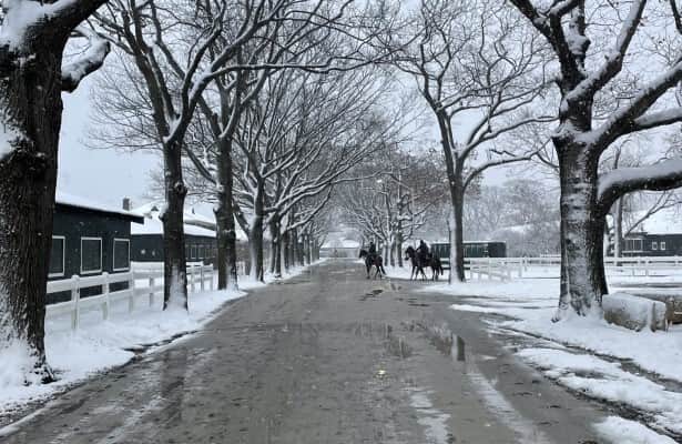 Merry Christmas 2024: Racing celebrates a happy holiday