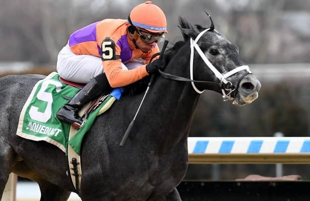 Kentucky Derby trail: Bergen leads 4 for Cox in Gotham