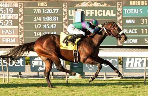 Big Bane Theory Best in City of Hope Mile