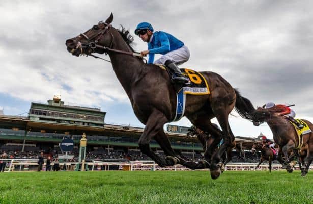 Veteran Bolo Will Go With The Flo In Sundays Del Mar Mile