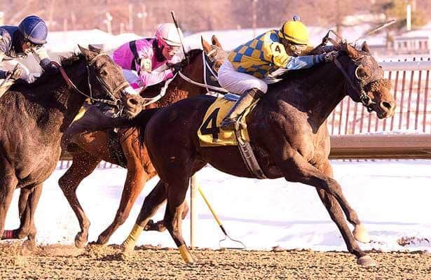 Broad Rule Repeats in Fire Plug Stakes