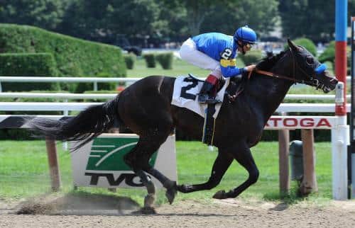 Bulldogger Wins at the Spa