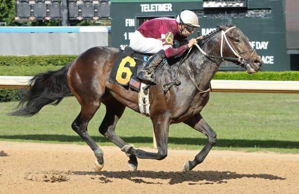Counterforce looks to secure his first graded victory in Amsterdam