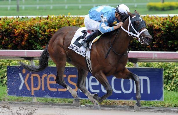 Cajun Delta Dawn Remains on Fire in FSS Susan's Girl Score