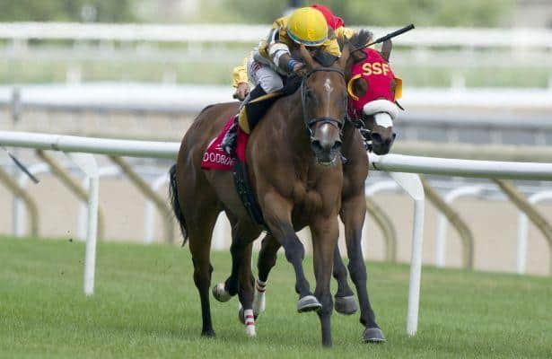 Calling Rhy Rhy turns away all challengers in Ontario Damsel