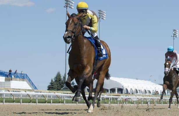 Calling Rhy Rhy has all the right answers in Jammed Lovely