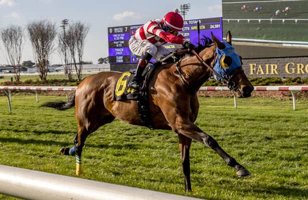 Oaks-winning owner Politi races Camp Akeela for a cause