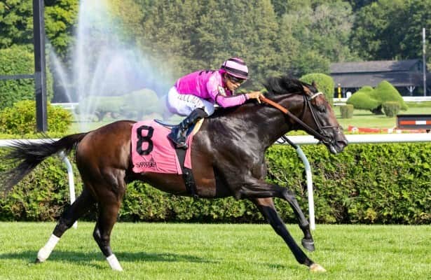 Friday works: With Middle East on horizon, Casa Creed breezes
