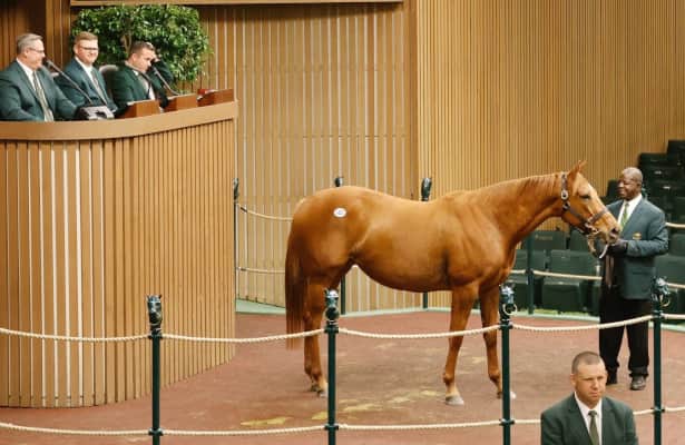Candy Ride filly in foal to Practical Joke tops Keeneland session