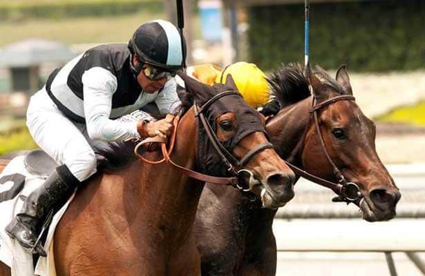 Charlie Em Takes Possibly Perfect