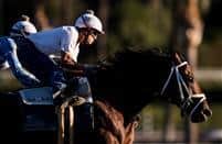 Michael Maker - Trainer