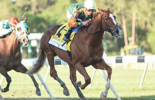 Florida Derby: Pedigree a key factor for distance and surface