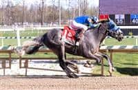 Horse Racing Nation – The fan-powered horse racing community