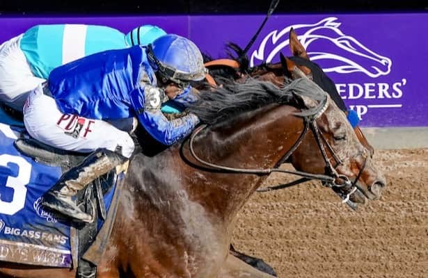 These are the top 10 racing stories of 2023
