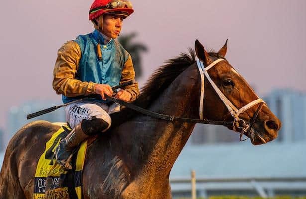 Derby pedigree: Commandment shows a nose for the wire