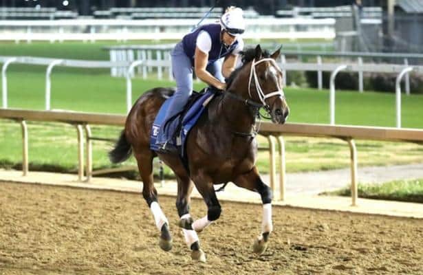Ky. Derby works: Fulleffort, Commandment breeze for Cox