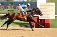 Oaklawn