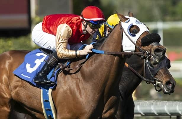 Count Again returns for D'Amato with Thunder Road score