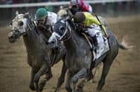 Horse Racing Nation - HorseRacingNation.com