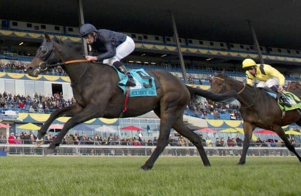 Curvy shows her class in the E.P. Taylor