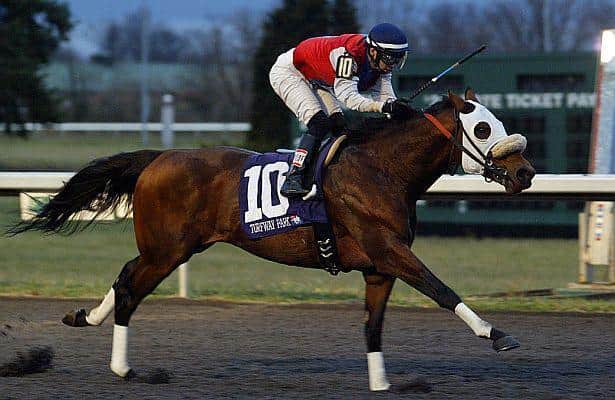 Cyber Secret - The most underrated horse in America