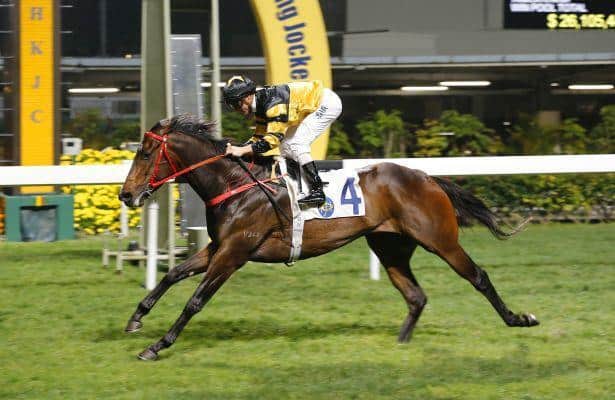 D B Pin Makes Dirt Debut in Chun Shek Handicap